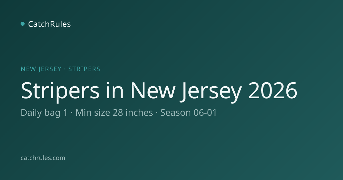 Stripers Season New Jersey 2026: Open Mar 1–Dec 31 | CatchRules