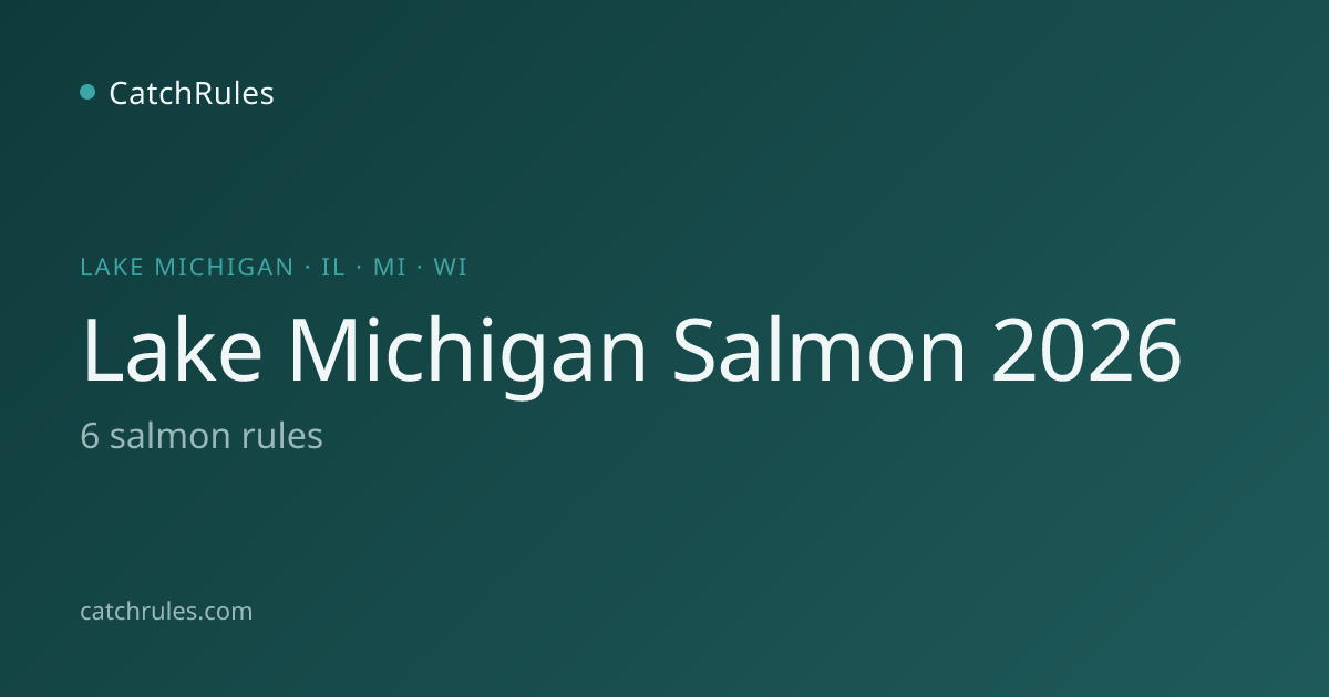 Salmon Size & Bag Lake Michigan 2026: 10″ min, 5/day bag | CatchRules