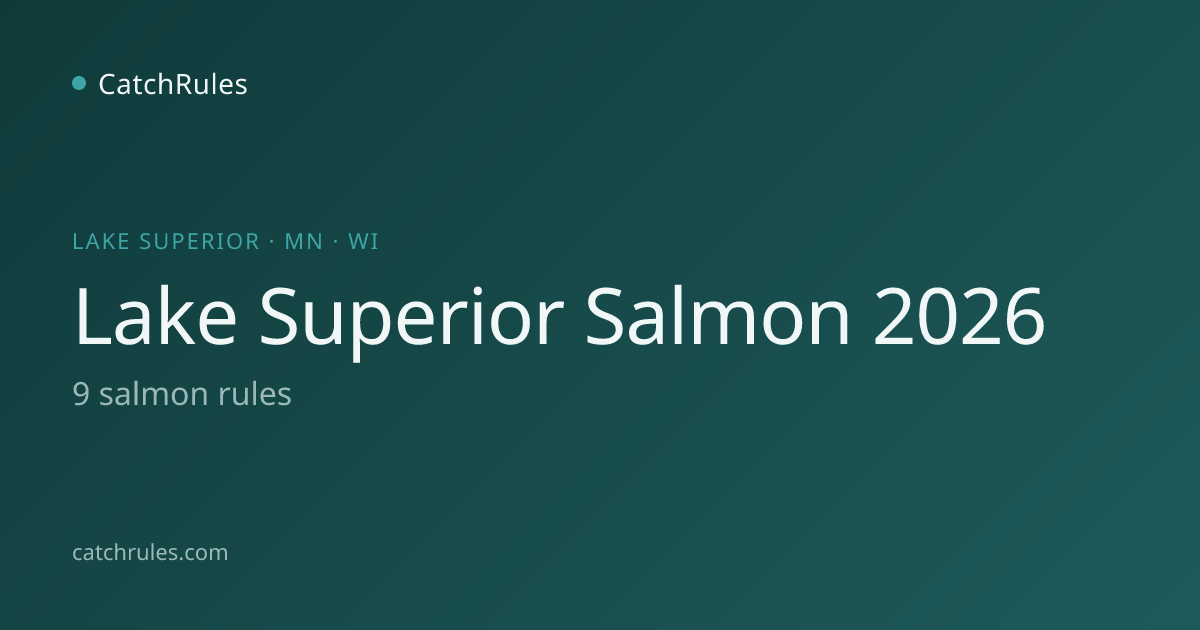 Salmon Size & Bag Lake Superior 2026: 12″ min | CatchRules
