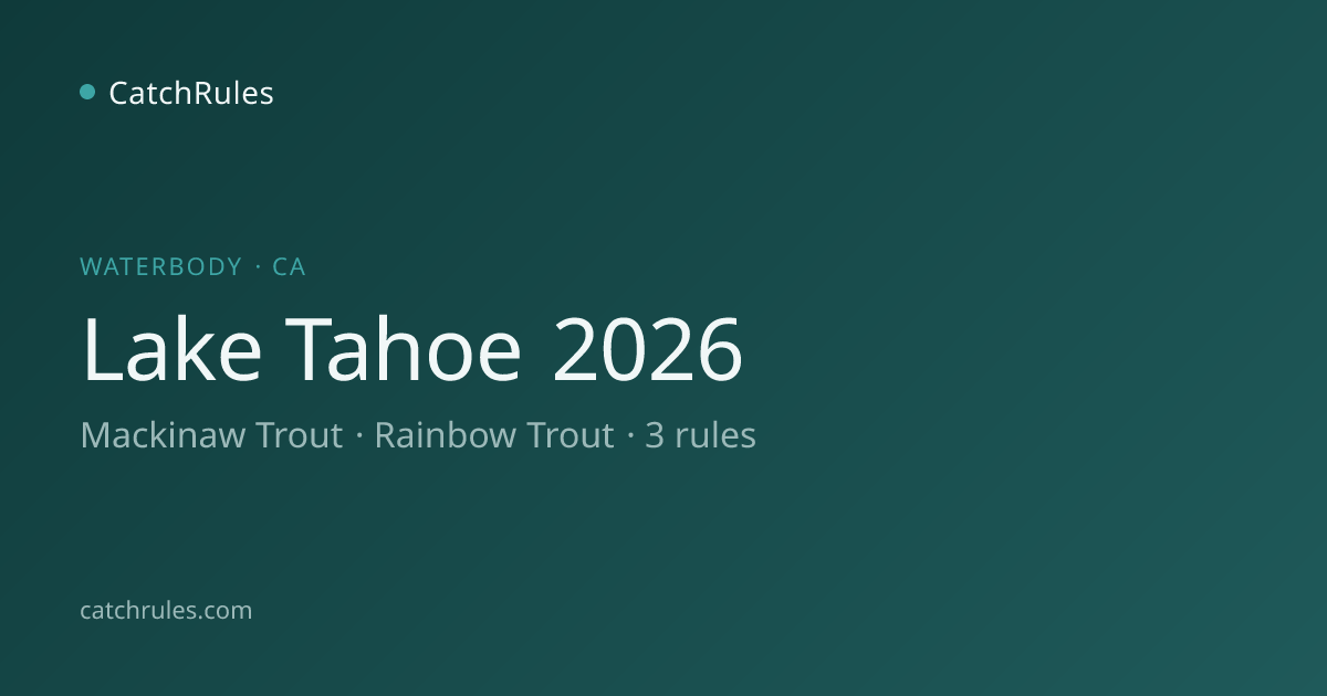 Lake Tahoe Mackinaw Trout Season & Limits 2026 | CatchRules